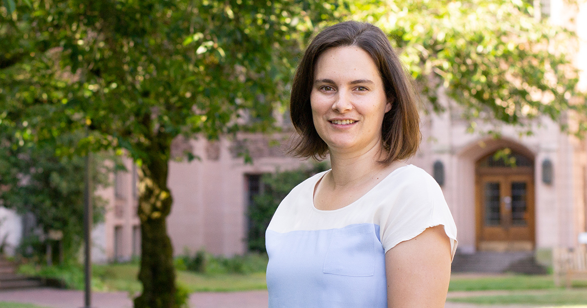 National Science Foundation awards CIP researchers $200,000 grant ...